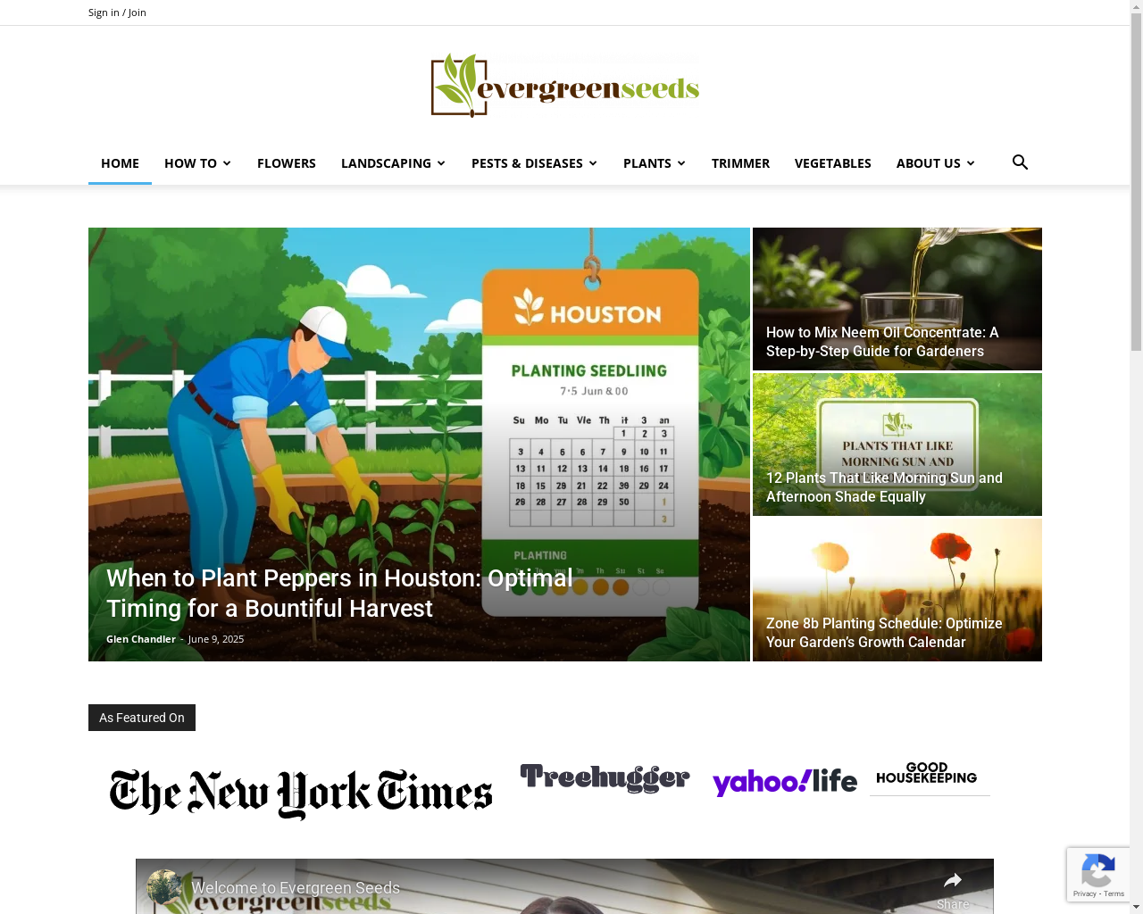 Evergreenseeds.com — Website For Sale on Flippa: Profitable 99% margin ...